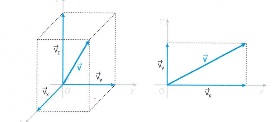 RAPPRESENTAZIONE CARTESIANA DI UN VETTORE - lezioniignoranti