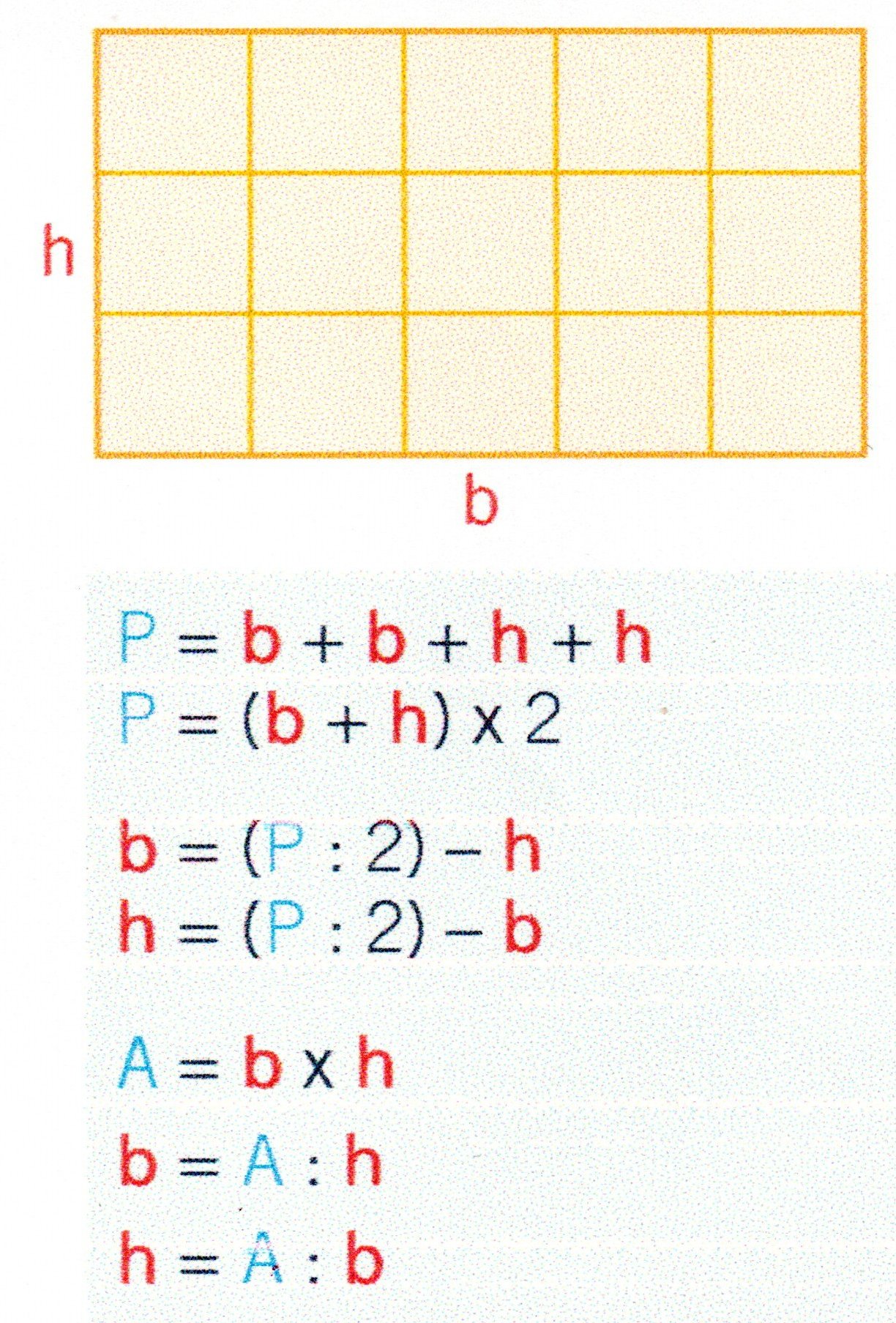 PERIMETRO E AREA DEL RETTANGOLO - lezioniignoranti