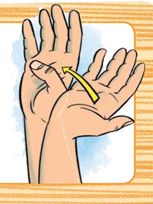 LE SCIMMIE ANTROPOMORFE - lezioniignoranti